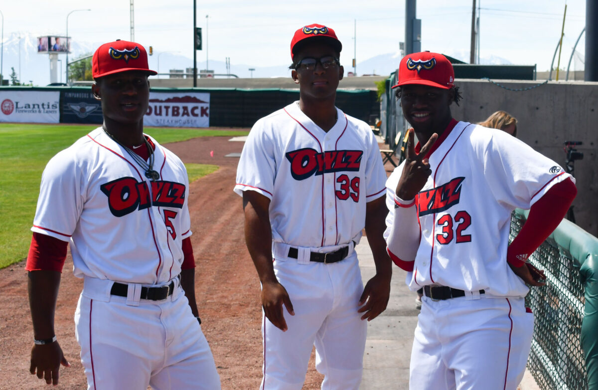 Owlz baseball leaves Utah for good, settles in Colorado | News, Sports ...
